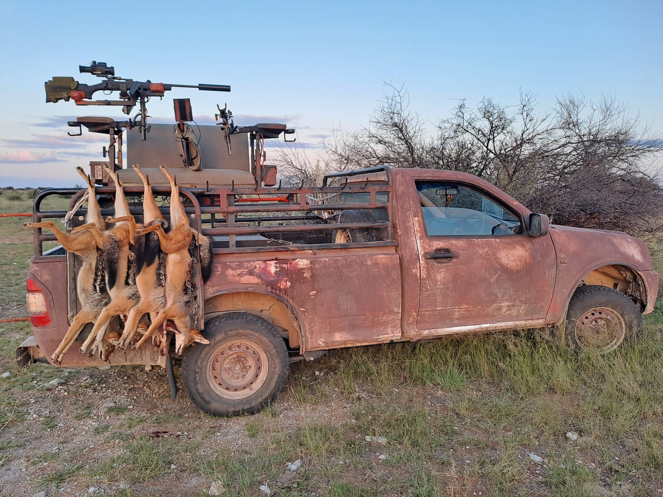 Gallery - Safari Hunt