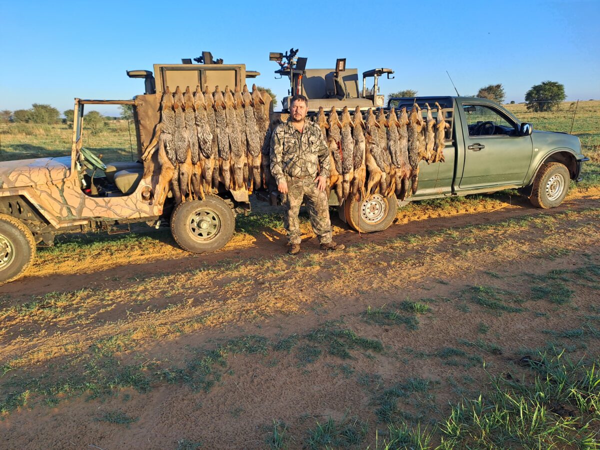 (New) Safari-Hunt Sequence Predator Call sounds - Safari Hunt