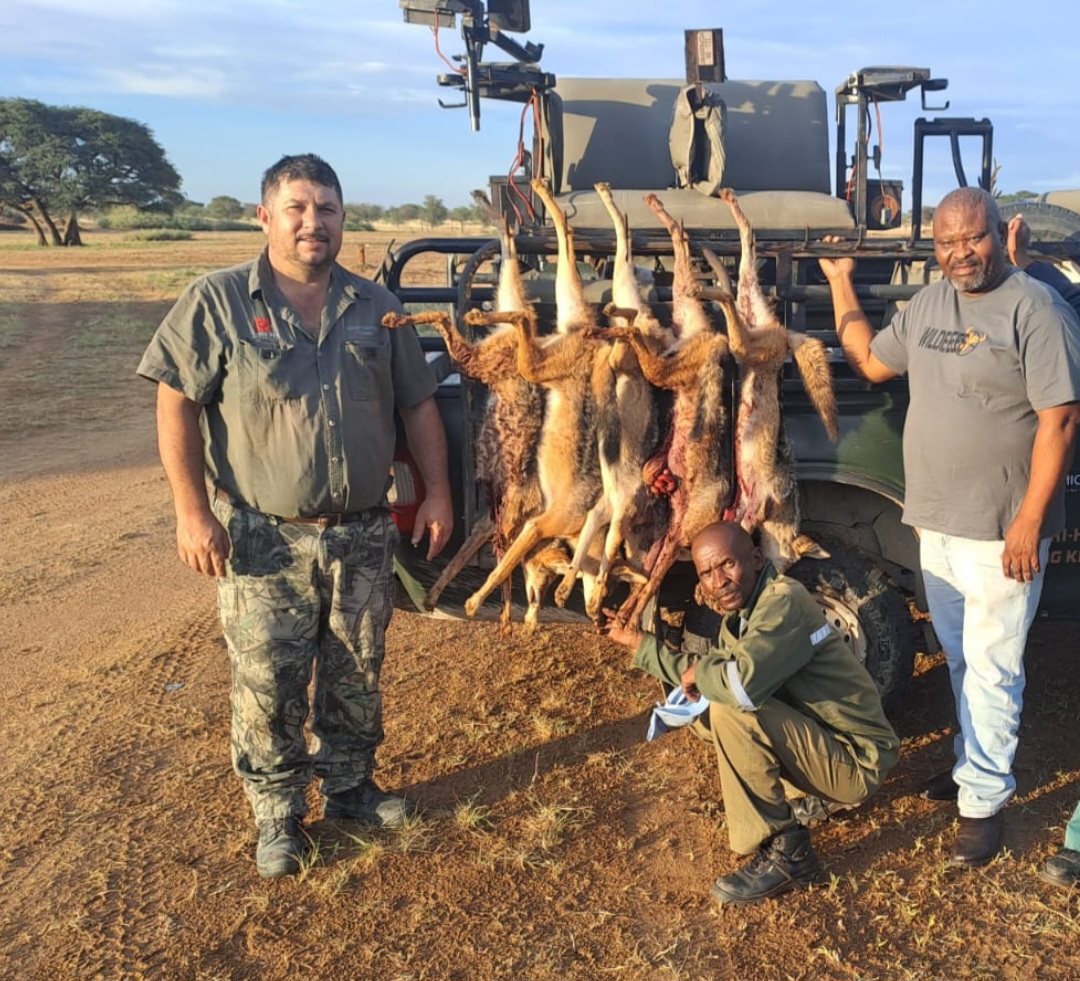 Gallery - Safari Hunt